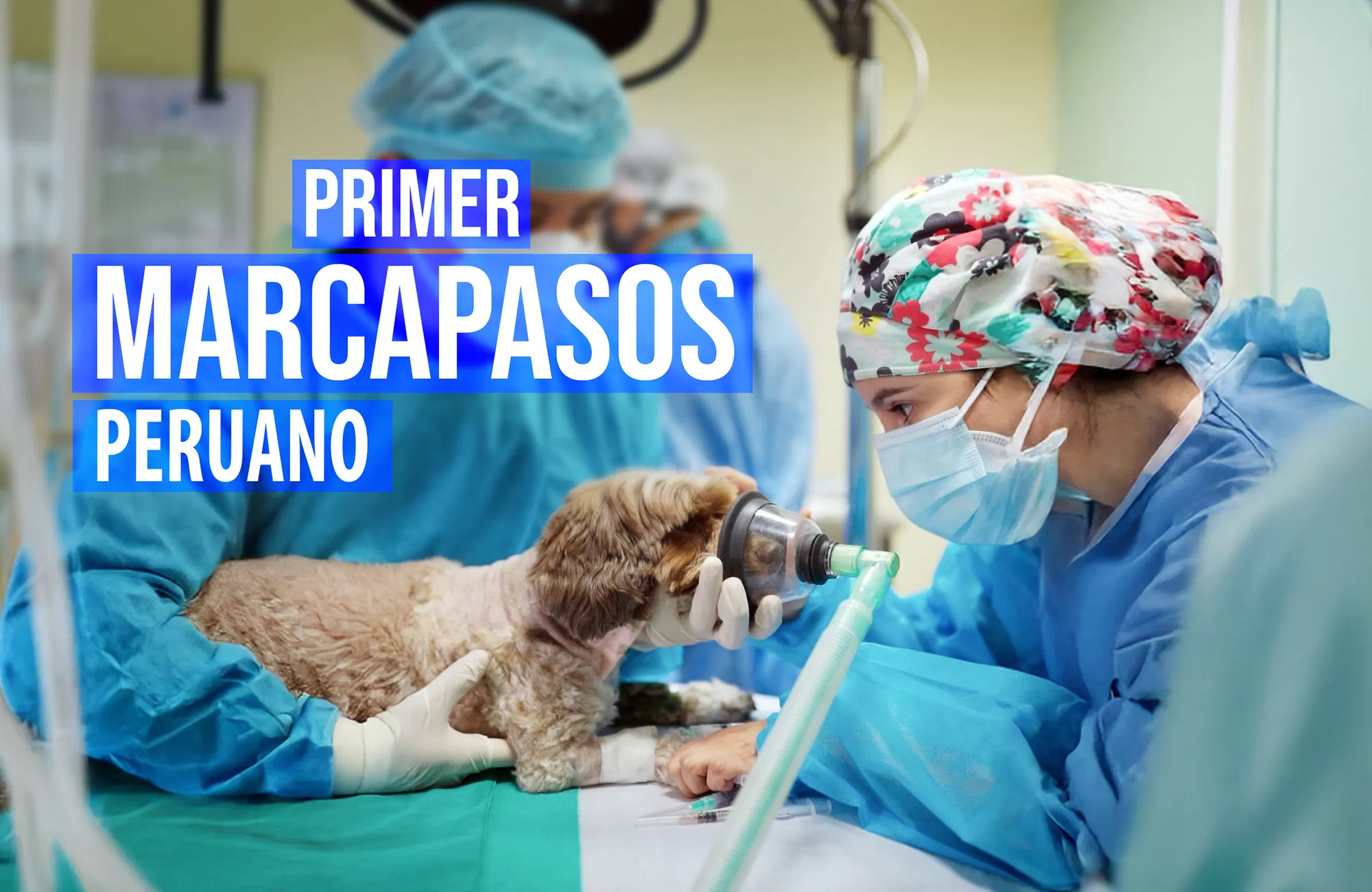 Cuore implantó el primer marcapasos en Perú | Cuore