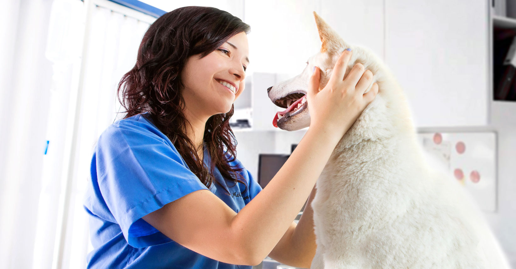 Tos cardíaca en perros: causas y diagnóstico | Cuore